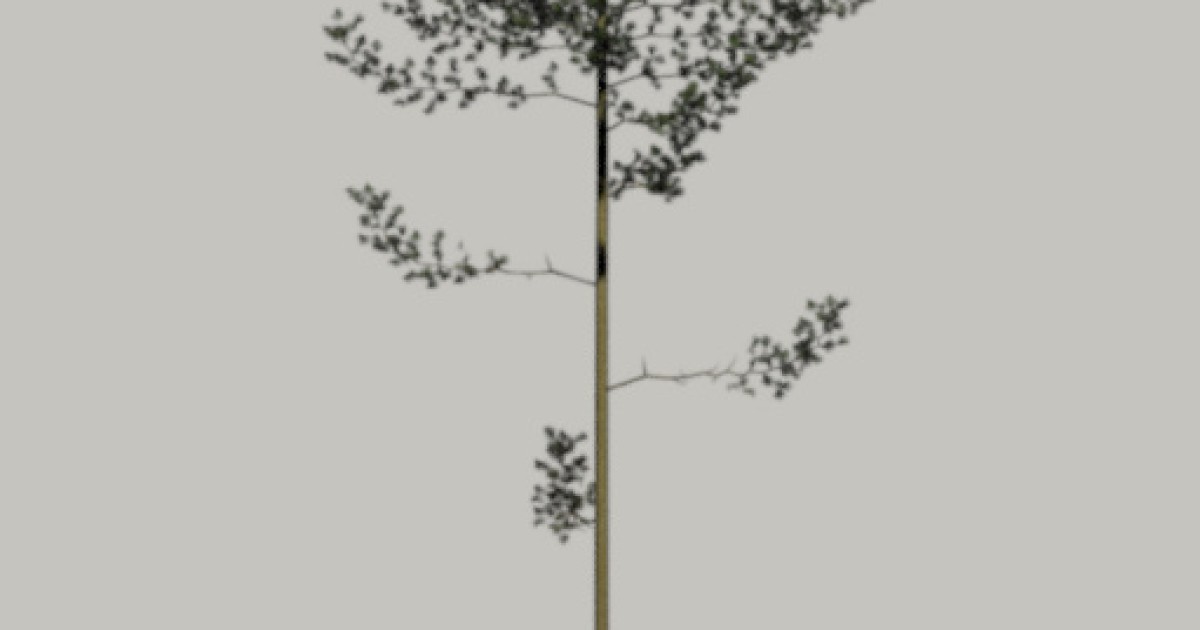 tree house | Autodesk Community Gallery