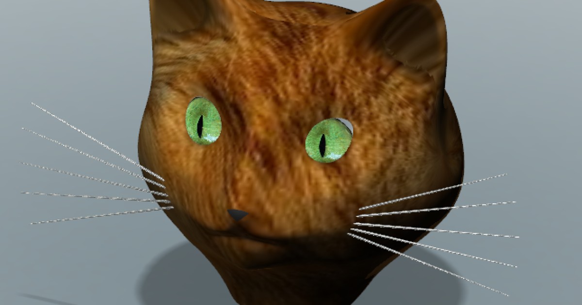 cat | Autodesk Community Gallery