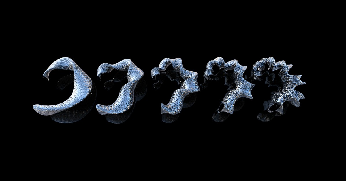 The Evolution Of Forms Autodesk Community Gallery