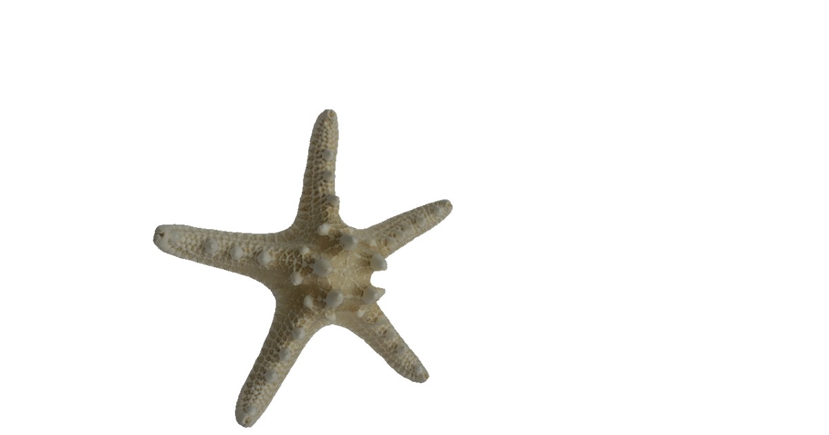 starfish | Autodesk Community Gallery