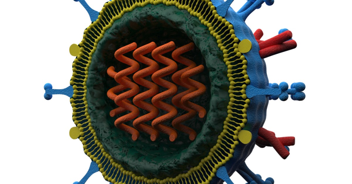 Anatomy of an Influenza A Virus | Autodesk Community Gallery