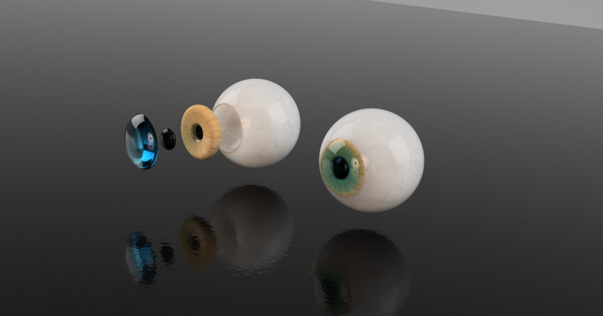 Eyeball | Autodesk Community Gallery