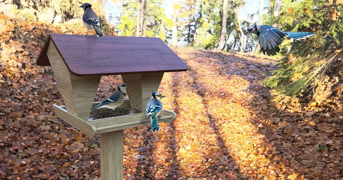 Bird feeder | Autodesk Community Gallery