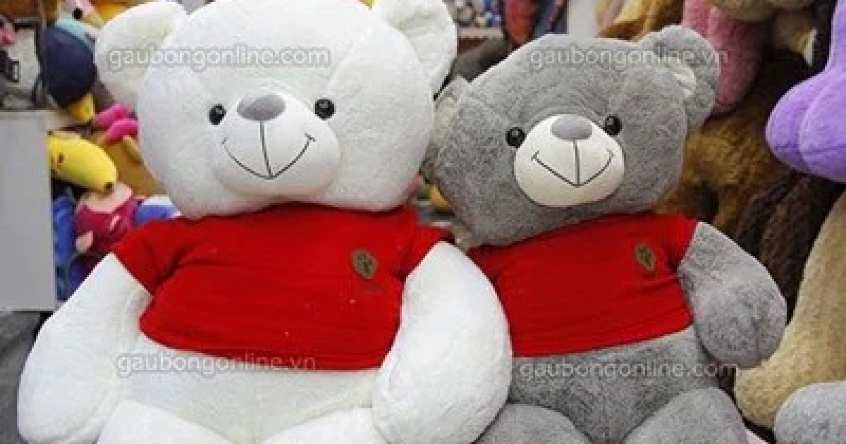 Cần sưu tập gấu Teddy cho trẻ và già? Mua gấu Teddy trực tuyến ...