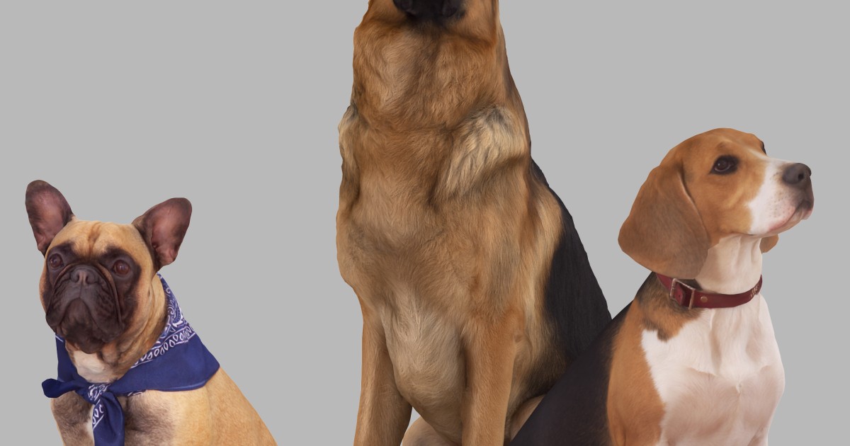 Sitting 3d dog collection x3 3d models | Autodesk Community Gallery