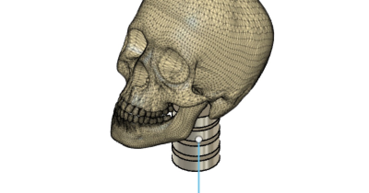 Brain & Skull | Autodesk Community Gallery