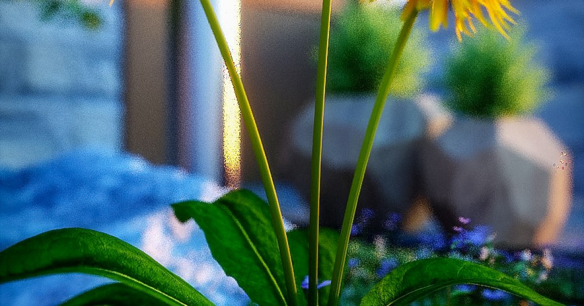 Main entrance, Camera shot in 3ds max! | Autodesk Community Gallery